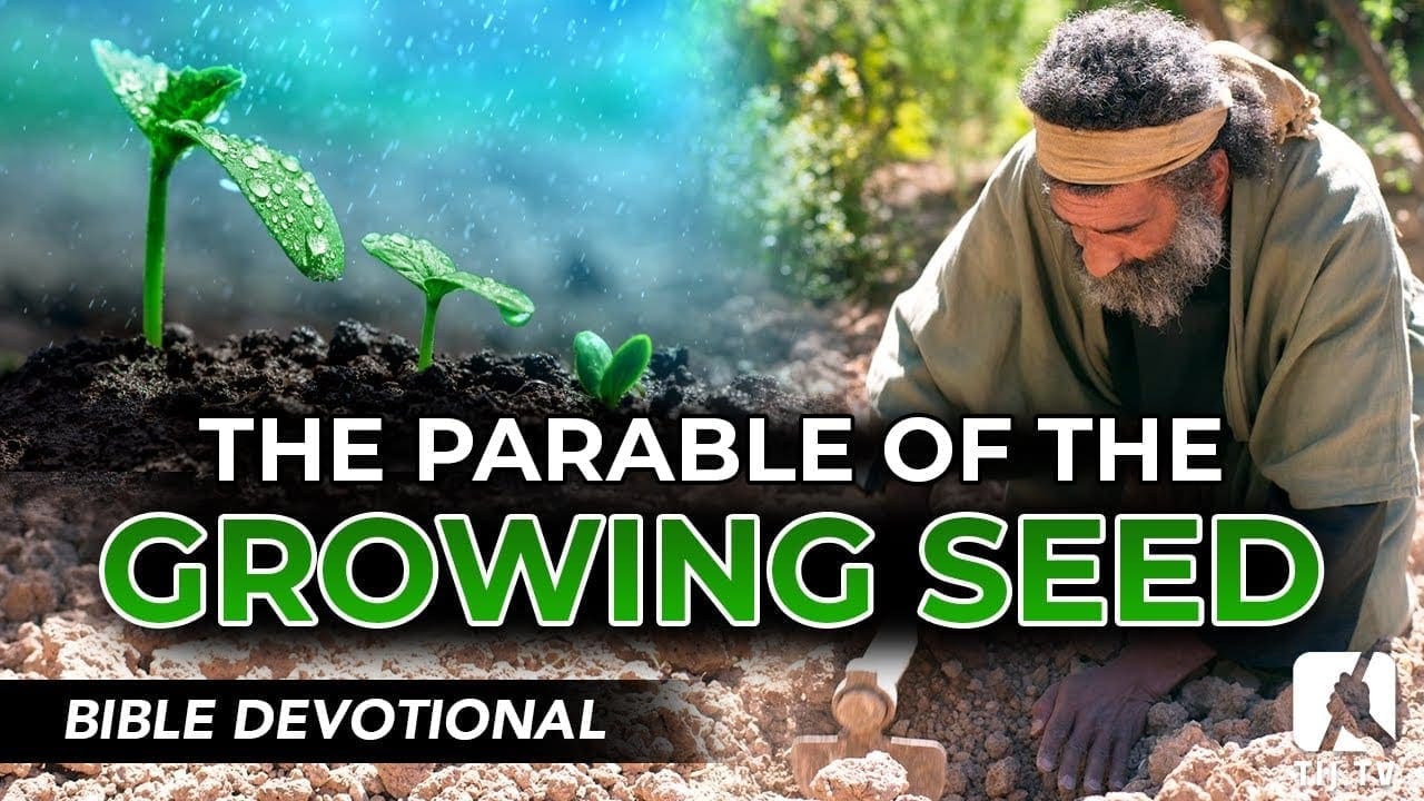 32 The Parable Of The Growing Seed Mark 4 26 29 The Incredible Journey 32 The Parable Of The Growing Seed Mark 4 26 29 The Incredible Journey