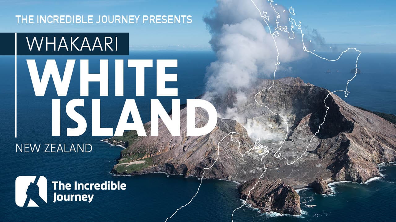 White Island - Surviving a Volcanic Eruption - The Incredible Journey