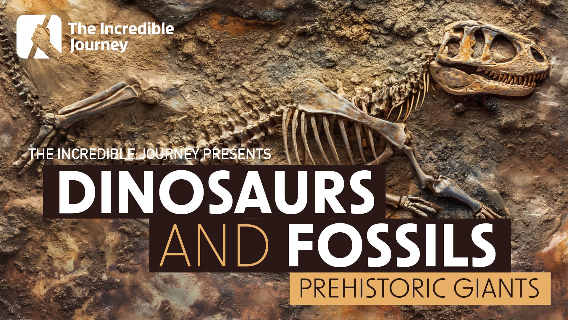 Dinosaurs and Fossils – Prehistoric Giants - The Incredible Journey